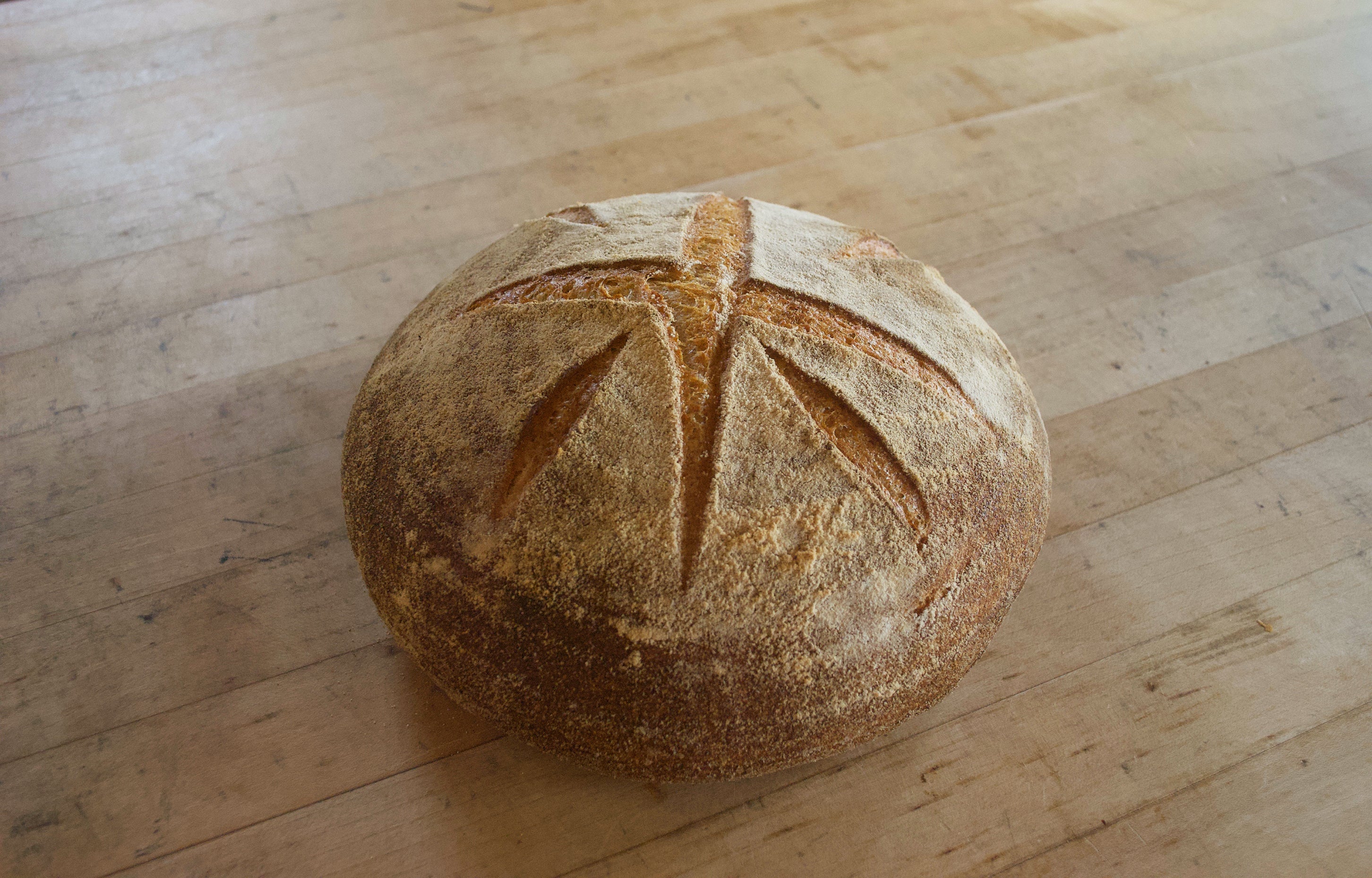 SD AMBER RYE (round/boule) | Texas French Bread Shipments